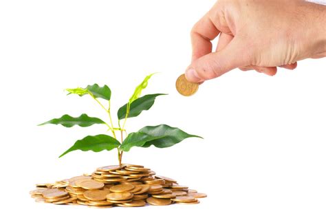 Onde Investir Em Renda Fixa