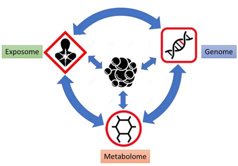 Metabolomics In Cancer Research And Emerging Applications By Metwarebio Aug 2023 Medium