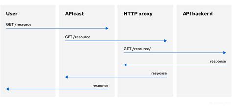 Chapter APIcast Policies Administering The API Gateway Red Hat Scale API Management