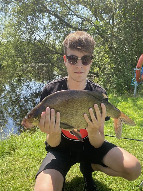 Common Bream Scrolller