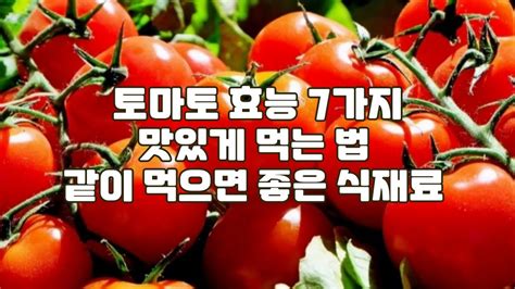 토마토 효능 7가지 I 토마토 맛있게 먹는 법 I 토마토와 함께 먹으면 좋은 식재료 Youtube