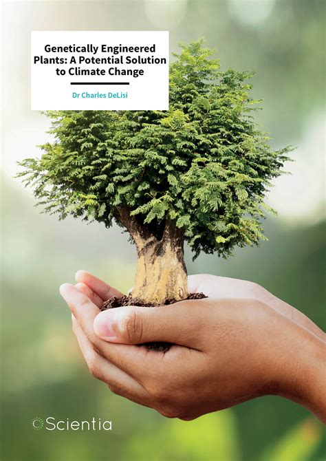 Dr Charles Delisi Genetically Engineered Plants A Potential Solution