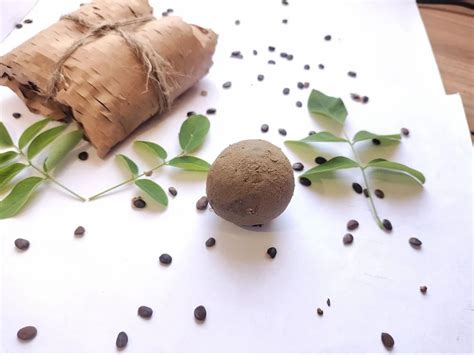 Plantable Seed Ball At ₹ 5piece Seed Balls In Jamshedpur Id 2855343820933