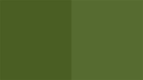 🔥 [50 ] Olive Green Wallpapers Wallpapersafari