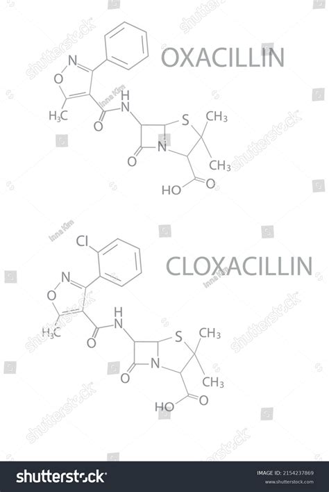 Oxacillin Cloxacillins Molecular Skeletal Chemical Formula Stock Vector