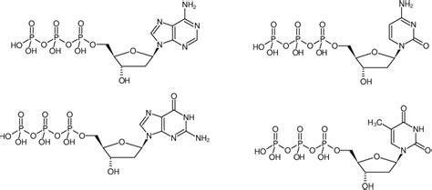 Dntp Mix 25 Mm Solution Unmodified Natural Deoxy Nucleoside Triphosphates Dntps Pre