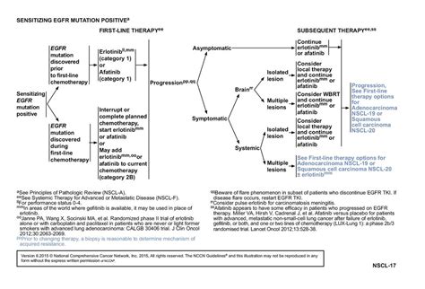Nccn Nonsmall Cell Lung Cancer Guidelines Update Slides
