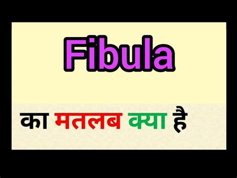 Fibula Definition Anatomy Function Facts Britannica 40 Off