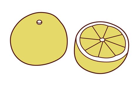 자몽 일러스트레이션 무료 일러스트 소재집 Kukukeke