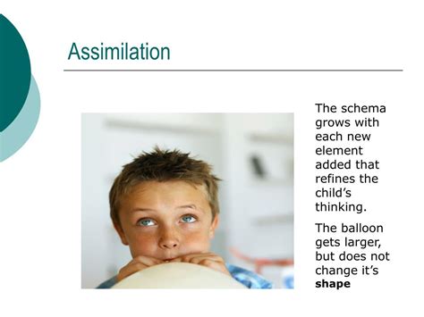 PPT Jean Piaget 1896 1980 Background PowerPoint Presentation Free Download ID 2592854