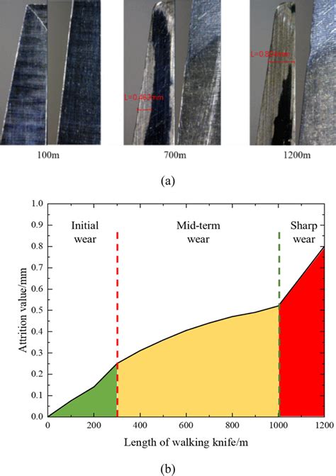 A Wear Image Of Straight Edge Knives With Different Travel Lengths And
