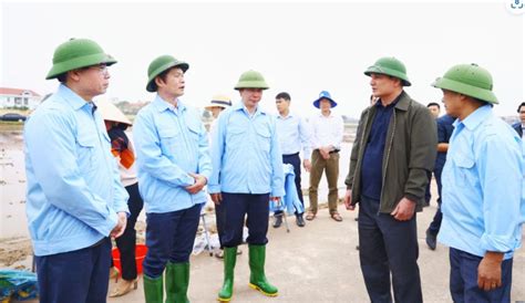 Phó Chủ tịch UBND tỉnh Vĩnh Phúc Nguyễn Văn Khước xuống đồng động