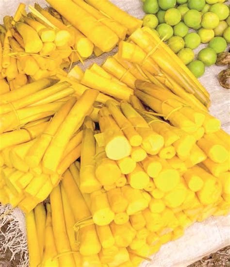 Bamboo Shoots Sell Well In Monsoon Myanmar Digital News