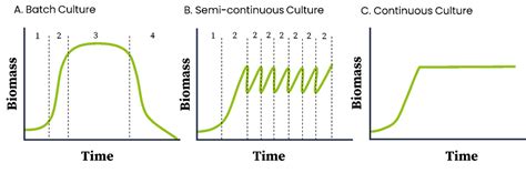 Semi Continuous Cultivation Mode Works