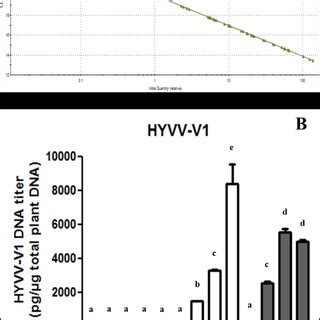 Standard Regression Line Obtained By Plotting Ct Values Versus The