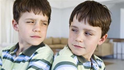 The Differences In Fraternal And Paternal Twins Sciencing