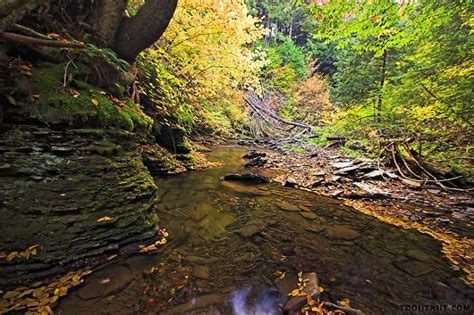 🔥 [40 ] Trout Stream Wallpapers Wallpapersafari