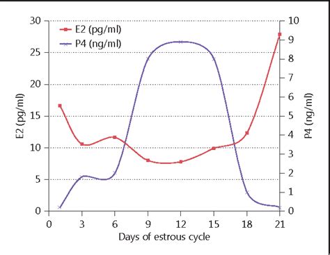 Figure 2 From A Clinical Case Of An Sry Positive Intersexhermaphrodite