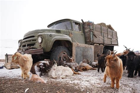 ОБЕГ Малчдад туслах зорилгоор иргэн ААН ээс нийт дөрвөн тэрбум төгрөгийн хандив цуглалаа