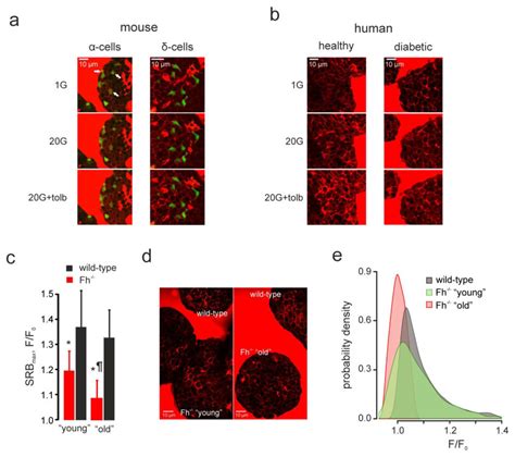 Applications Cell Heterogeneity And Clinical Impact Download Scientific Diagram