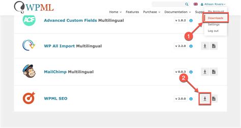Wpml Seo Plugin Better Integration With Seo Plugins Wpml