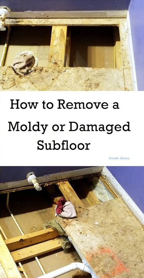 Condo Blues How To Remove A Damaged Or Moldy Subfloor