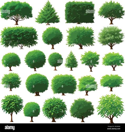 Awesome Forest Trees Bushes Plants Art Vector Stock Vector Image And Art