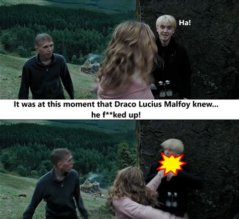 Harry Potter And Hermione Memes Some Memes To Brighten Your Day 😁