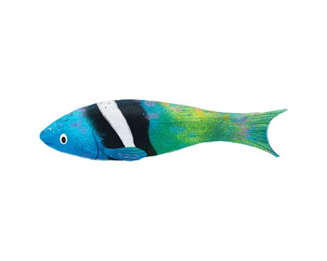 Art Print Illustration Blueheaded Wrasse Fish Etsy