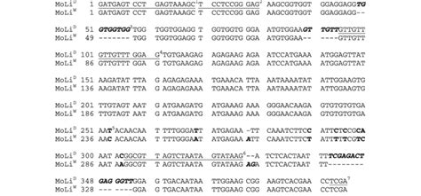 Dna Sequences 5 0 3 0 Showing The Development Of Sequence Specific Download Scientific