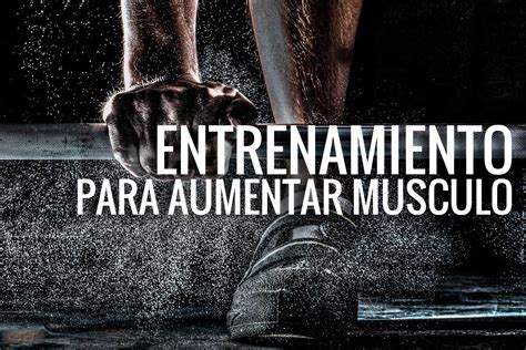 Rutina Para Aumentar Masa Muscular En 12 Semanas