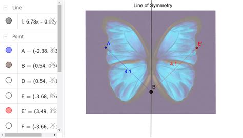 Reflectional Symmetry In Real Life