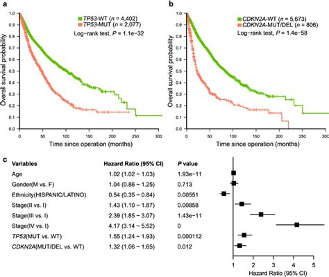 Prognostic Significance Of Tp53 And Cdkn2a In The Tcga Data Set A B