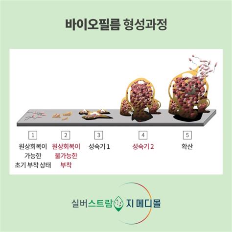 욕창치료 정체 더딘기간의 원인은 바이오필름 세균막인 이유 네이버 블로그