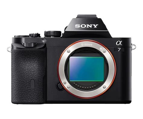 Best Underwater Photography Lenses for the Sony A7 Mirrorless Camera