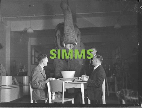 SIMMS Meaning » Slang.org