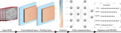 Workflow Of Deep Learning For Model Construction Download Scientific Diagram