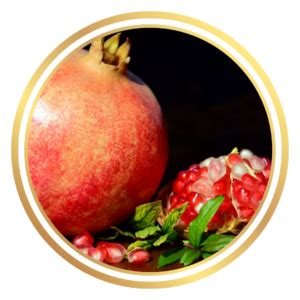 Fruit Tree Elche Pomegranate Perth Wa