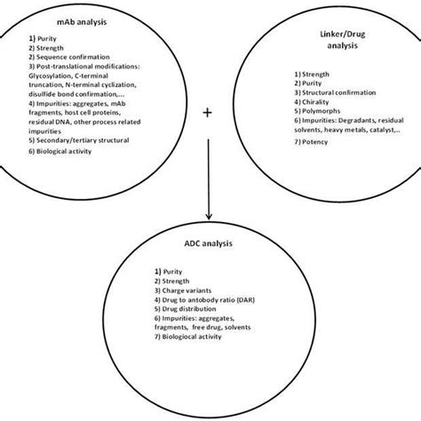 Analysis Of ADC Product And Its Constituents Download Scientific Diagram