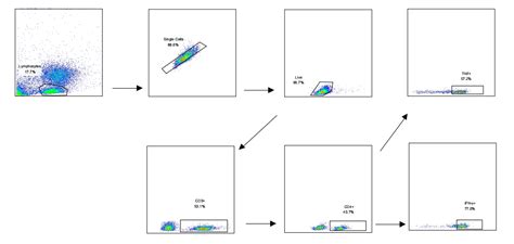 Fixation Permeabilization Kit Absin 优宁维 Univ 商城