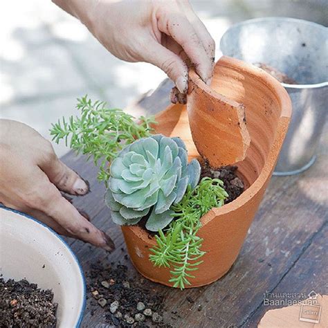 แปลงโฉม กระถาง แตกๆ ให้เป็นสวนกระถางเก๋ บ้านและสวน