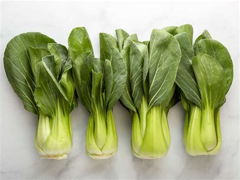 Chinese Cabbage