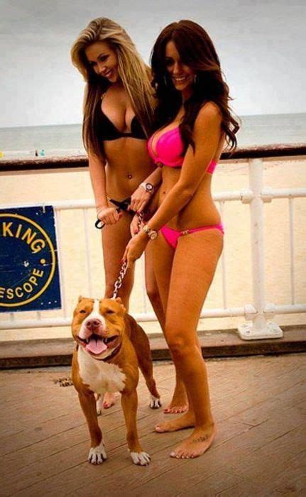 17 Best Images About Pitbull On Pinterest Frozen Pit Bull And