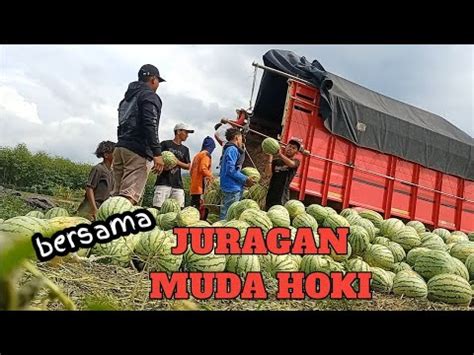 juragan muda semangka Indonesia @ndbchannel1218 - YouTube