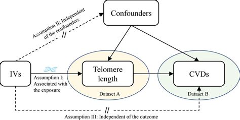 Assumptions Of The Mendelian Randomization Mr Analysis For Tl And The