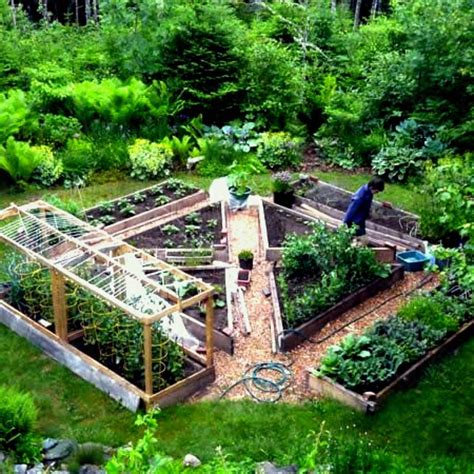 Garden Designs Trending Vegetable Layouts Ideas On Pinterest Regarding