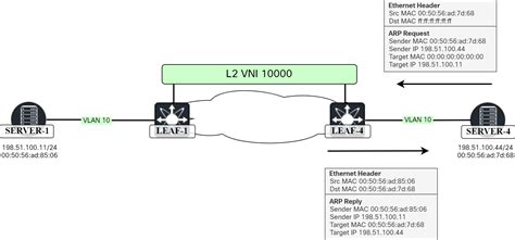 Bridging Packet Walk In Vxlan Evpn Network Daniels Networking Blog