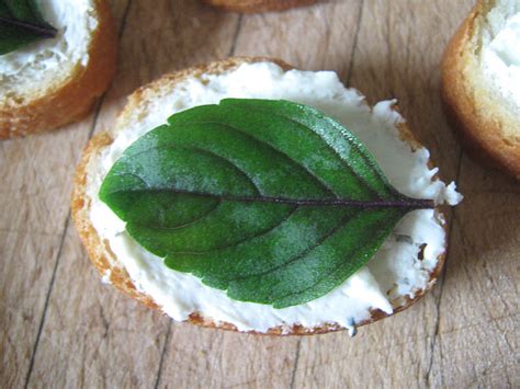 Rindy Mae Ladybug Crostini