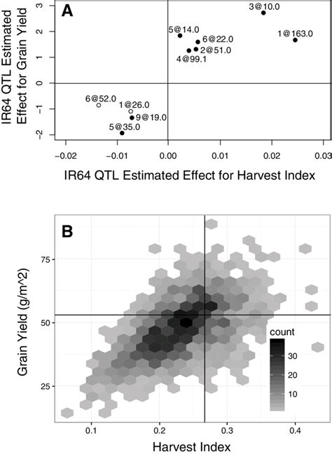 A The Estimated Effect Of Ir64 Qtl For Grain Yield Versus For Harvest