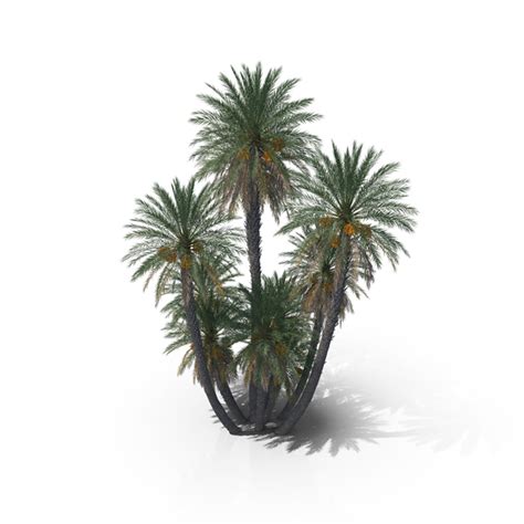 Roblox Development Date Png Images And Psds For Download Pixelsquid